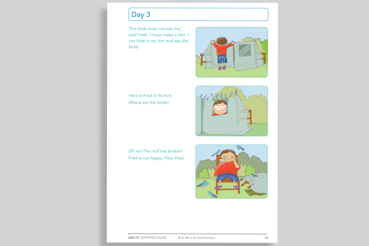 Illustration LAN Learning Resource Te Kura 4 | Jenny Palmer Graphics