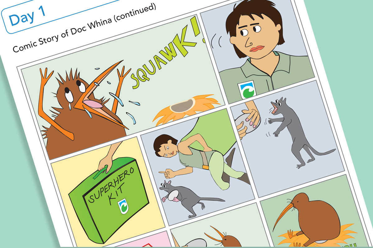 Illustration Educational Resource Te Kura | Jenny Palmer Graphics