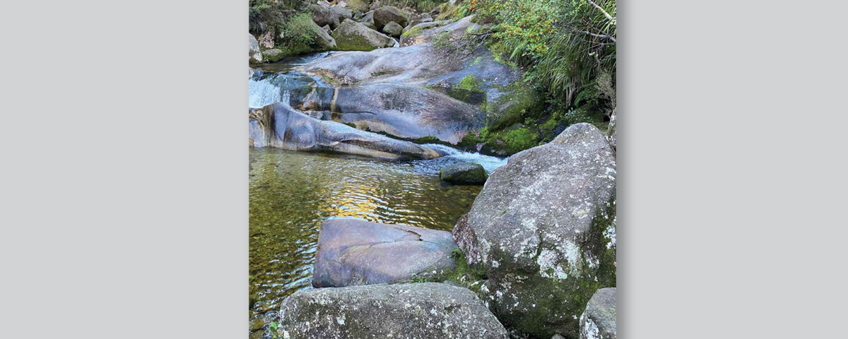 Annual Reports | Jenny Palmer Graphics